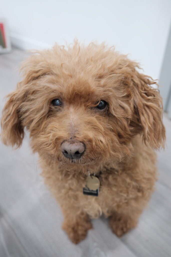 Our Team - The Motion Lab